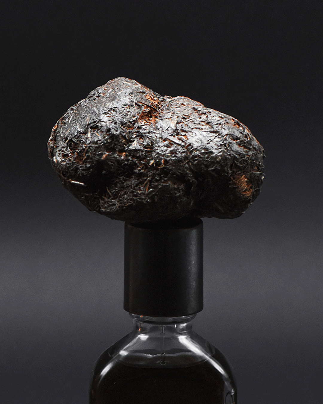 STERCUS – Orto Parisi