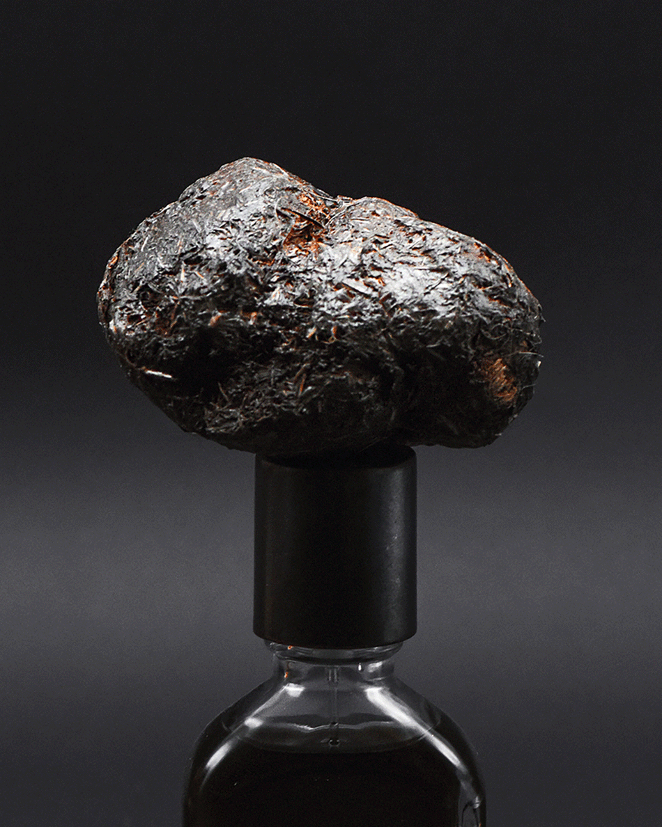 STERCUS – Orto Parisi